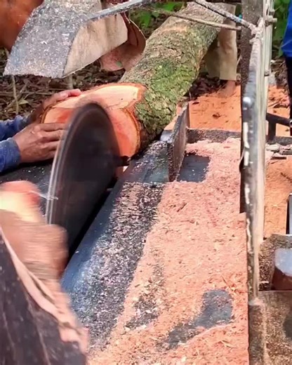 Big Pin Oak Milling Process Explained