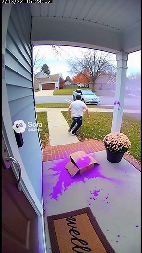 Man attempts to steal an Amazon bait package and it explodes purple powder all over him.