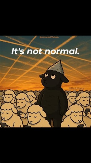 🚨 Look up. Trust your own eyes. Not everything is as “normal” as they want you to believe. #LookUp #Awakening #BlackFleece #CommunityOfTheAwake ✨ | Community of the Awake