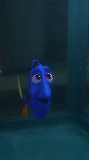 Hank Shouts At Dory for Tag | Dory Tells About Her Short-Term Memory Loss - Finding Dory Part 25