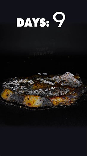 Time Treats on Instagram: "Rotting Steak in Timelapse 🪰😂#satisfying #decay #timelapse"