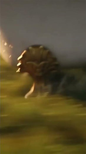 The SHOCKING Truth About Monkeys in the Bathroom