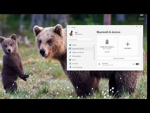 Dynamic Lock is not working or missing in Windows 11 Fix