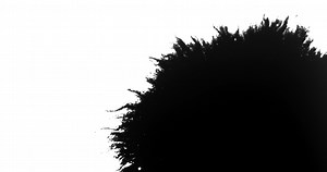 Download Black ink drop expanding fast on white background with oval shape in 4K for free