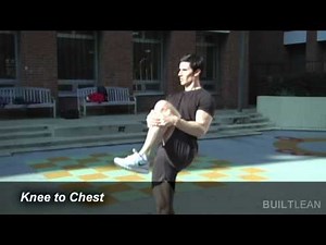 Dynamic Stretching Routine Before Your Workout