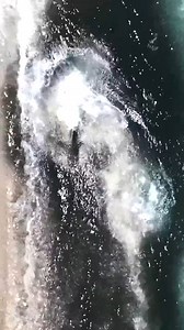 hunting the shallows.. | Brodiemoss