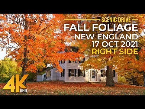 4K New Hampshire Autumn Scenic Roads in Slow Motion - Fall Foliage of New England - Right Side - #1