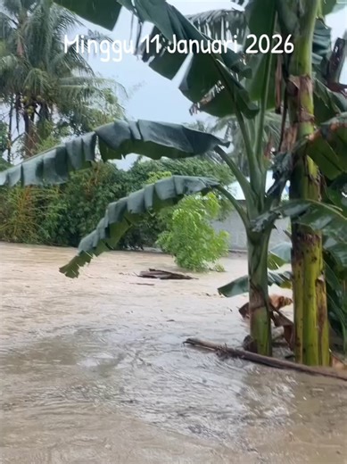 Desa Wani di Palu: Kondisi Terkini dan Banjir