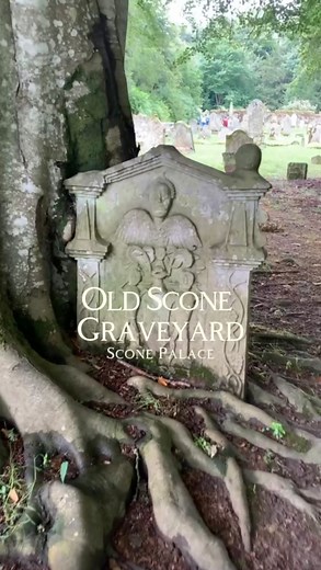 90K views · 10K reactions | Nestled in a tranquil, wooded setting a...