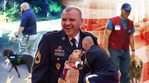 42K views · 298 reactions | Some vets wait months, or even years for this moment. Here are some of the most heartwarming moments when some American heroes were surprised with the four-legged help they needed. | Inside Edition | Facebook