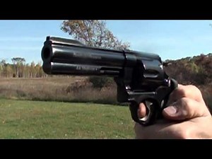 Stainless or Blued???