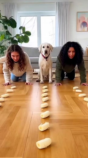 Labrador vs Women – Banana Crawl Challenge 😂 #dog #funny #funnydogs #AI #challenge #rottweiler #labrador | lana rose