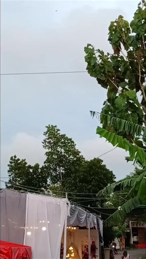 #CEOSOUDSISYTEM #fyppppppppppppppppppppppp