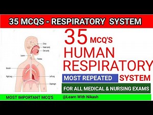 35 respiratory system mcqs with answers || respiratory system mcq || respiratory system questions