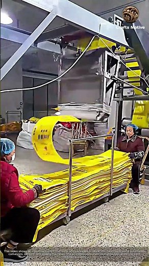 Automated Sorting and Packaging: Industrial Packaging Process Watch Mesh Produce Bags Get Sorted