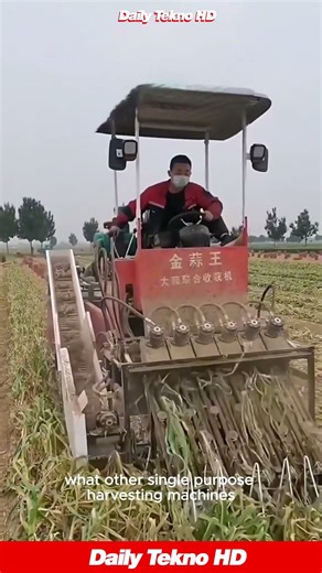 This Garlic Harvester Just UNLOCKED Peak Efficiency! 😮 #GarlicHarvest