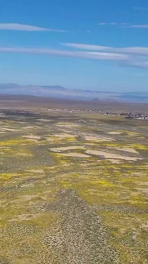 11K views · 343 reactions | Edwards is in bloom!  #springtime | Edwards Air Force Base | Facebook