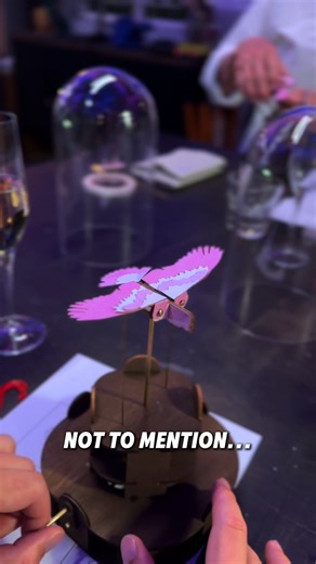 Gather around the benches, join the flock, and give the gift of making this Christmas ️ Inspired by the colour and beauty of the native Australian birds that flash their festive feathers year-round, this workshop is a hands-on night of crafting fun that provides you the ultimate gift - a beautiful, custom sculpture made by you! Limited December dates are on sale now! | Dead Puppet Society | Facebook