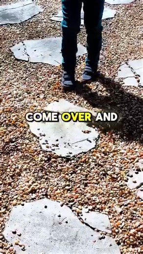 My Gravel Was a Disaster… Until I Found This Amazon Hack! Sick of your gravel shifting and looking messy? 😩 Same here—until I discovered this viral Amazon solution! 🔒 Within 24 hours, my pea gravel was solid. 💪 Not even a leaf blower could move it! ➡️ Watch the full test & grab yours before it's gone! #amazonfinds #diylandscaping #gravelhack #HomeImprovement #beforeandafter | PetraMax