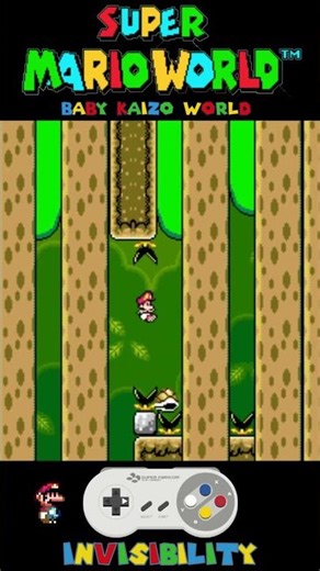 Invisibility - SMW Baby Kaizo World #nintendo #retro #mario #retrogaming #supermarioworld #gaming