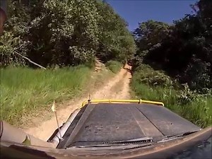 Creb Track, Far North Queensland