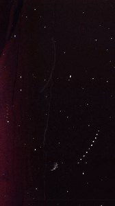 🎉 Welcome Back! 🎉 Principal Collin Tribby at Wiley Magnet Middle School is excited to kick off another fantastic school year! Let’s make this year unforgettable with new adventures and learning opportunities. Here’s to a great start, everyone! 🌟📚 #WSFCS #WelcomeBack #FirstDay | Winston-Salem/Forsyth County Schools