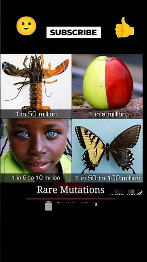 4 INCREDIBLY Rare Mutations You Won't Believe Exist! (1 in a MILLION odds)