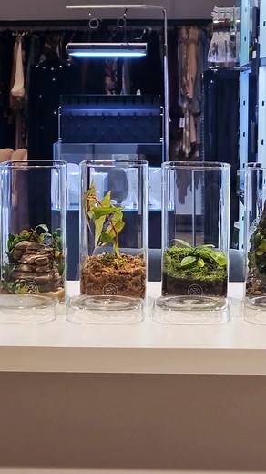 New range of Read Made ADA LAB KAKU pots. Ready to go @ada_lab_johannesburg for R999. . #aquascape #aquascaping #natureaquarium #interiordesign #homedecor #epic #terrarium #vivarium #paludarium #indoorplants #IndoorGreen | EpicAquatics