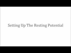 Resting Potential