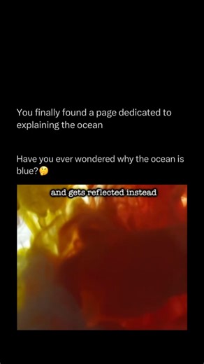 Oceans Explained in depth on Instagram: "Follow @explainingoceans to learn everything about oceans one post at a time 🧠🔥 The ocean appears blue mainly because water absorbs colors from sunlight differently. When sunlight enters the water, colors like red, orange, and yellow are absorbed more quickly, while blue light is scattered and reflected back to our eyes. This makes large bodies of water, such as oceans, look blue from the surface. The sky also plays a small role in the ocean’s color. Bl