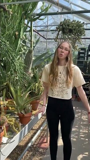 3 Things I Wish You Knew About Botany and Plant Pathology at Purdue University