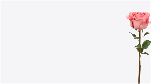 Daily Health Videos on Reels