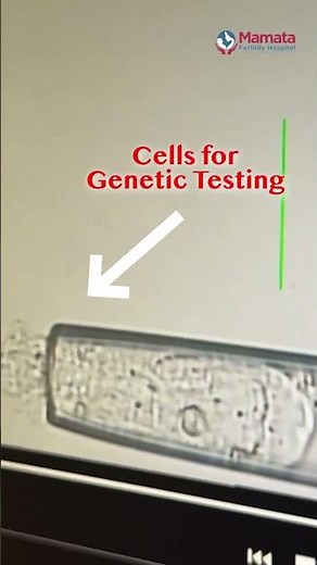 How Embryo Biopsy Helps Choose Healthy Embryos | Mamata Fertility Hospital