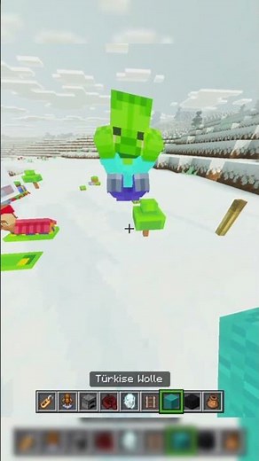 Minecraft Action and Stuff Winter!