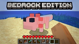 I played the WORST Minecraft version…