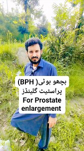 497K views · 7.7K reactions | بچھو بوٹی( BPH) پراسٹیٹ گلینڈز For Prostate enlargement #reelschallengereelschallenge #syedkhalidriaz #facebookreel #shorts #prostate | Al-Sadaat Dawakhana | Facebook