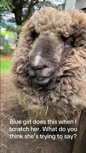 Is BluGirl trying to talk??