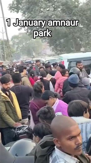 1 January amnaur park