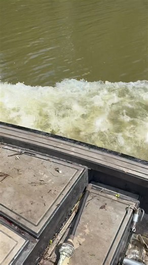 376K views · 8.4K reactions | Another great day catching these swamp lizards@topfans | Lil Willie Edwards | Facebook