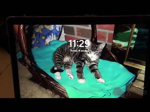 Microsoft Surface Go 2: Windows 11 Upgrade