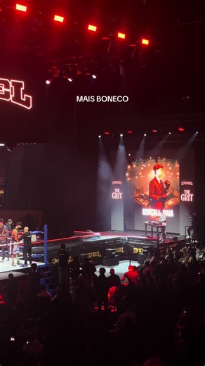 Duel Boxing: Belleza y Fuerza en el Ring