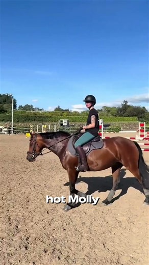 Watch My First Jumping Lesson After a Long Break-Can I Remember How to Ride?