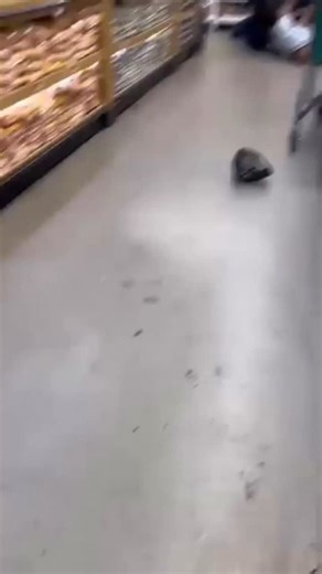 📍Schaumburg Video shows federal agents arresting a man inside the Patel Brothers grocery store. The man can be heard yelling that he has all his documents and telling agents to check his work permit as shoppers watch the scene unfold. What would you have done if you witnessed this? #312Watch #Schaumburg #Illinois #PatelBrothers #FederalAgents #Arrest #Immigration #ChicagoNews #IllinoisNews #Breaking #ViralVideo #CityWatch #Midwest #LocalNews #ViralClip #OnScene #Suburbs #CookCounty #NewsUpdate 