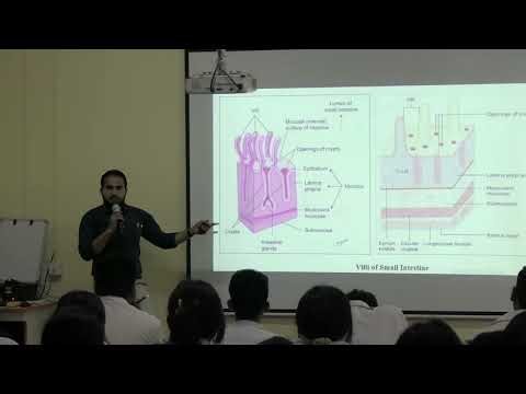Lecture on Small Intestine Histology & Anatomy:Duodenum, Jejunum, & Ileum Identification |MBBS |TSMC