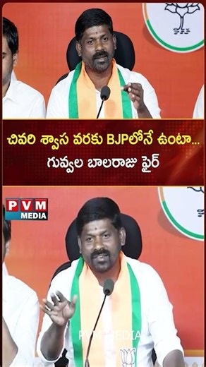 చివరి శ్వాస వరకు BJPలోనే ఉంటా... గువ్వల బాలరాజు ఫైర్. Guvvala Balaraju || PVM MEDIA