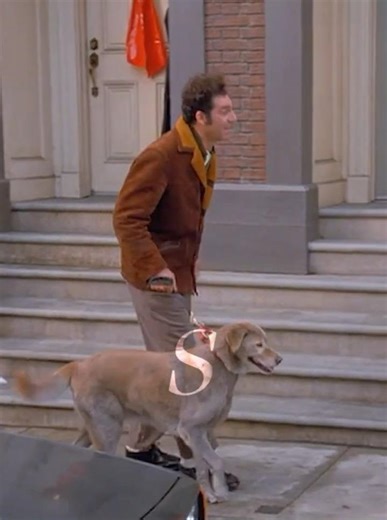 Kramer goes to the vet 🐕#shorts