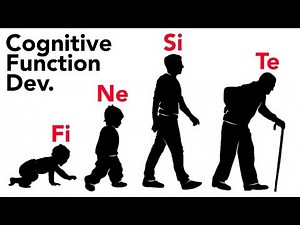 Cognitive Function Development Through Stages of Life