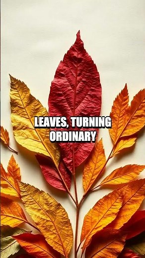 Everyday Upcycled Crafts for Beginners