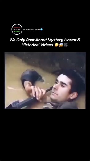 Horror | Mystery | Conspiracy Theories | The Omnitrix is a powerful and iconic device from the Ben 10 animated series, created by the character Azmuth, an alien scientist of the... | Instagram