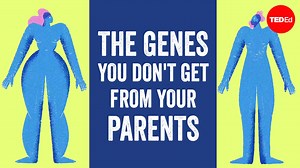 255K views · 1.7K reactions | Every human, animal, and plant on Earth has a second set of genes completely separate from our chromosomes. Where do these genes come from, and why do we have them? | TED-Ed | Facebook